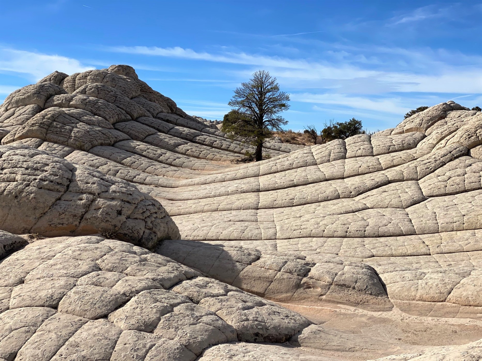 Vermilion Cliffs National Monument Tours | Antelope Canyon Tours